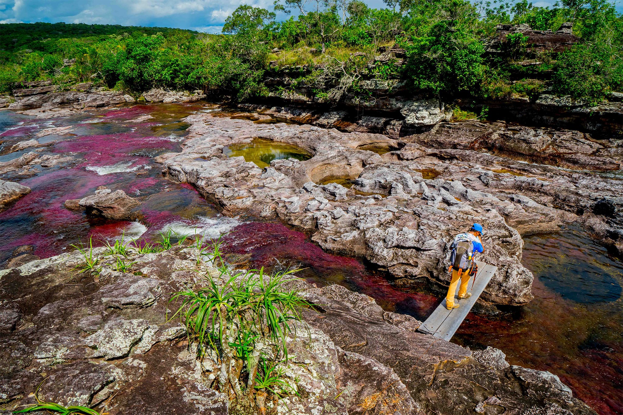 Caño Cristales River Trip - 4 Days – Colombia – FlashpackerConnect ... Caño Cristales River Trip - 4 Days – Colombia – FlashpackerConnect ...